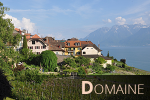 Blaise Duboux | Art du Vin